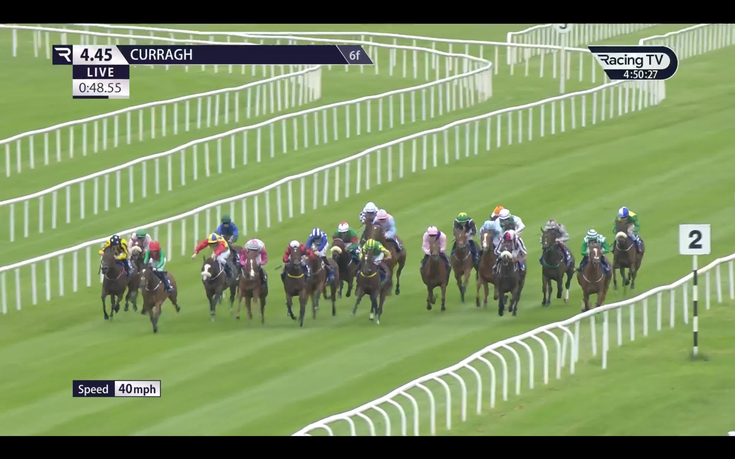 Watch ORCHIDACEAE - Maiden 2024 May | Streamable