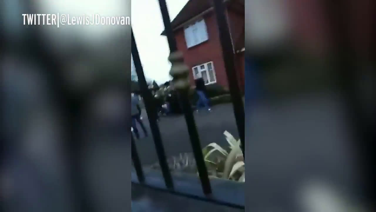 Watford vs Everton violence Police confirm four arrests after