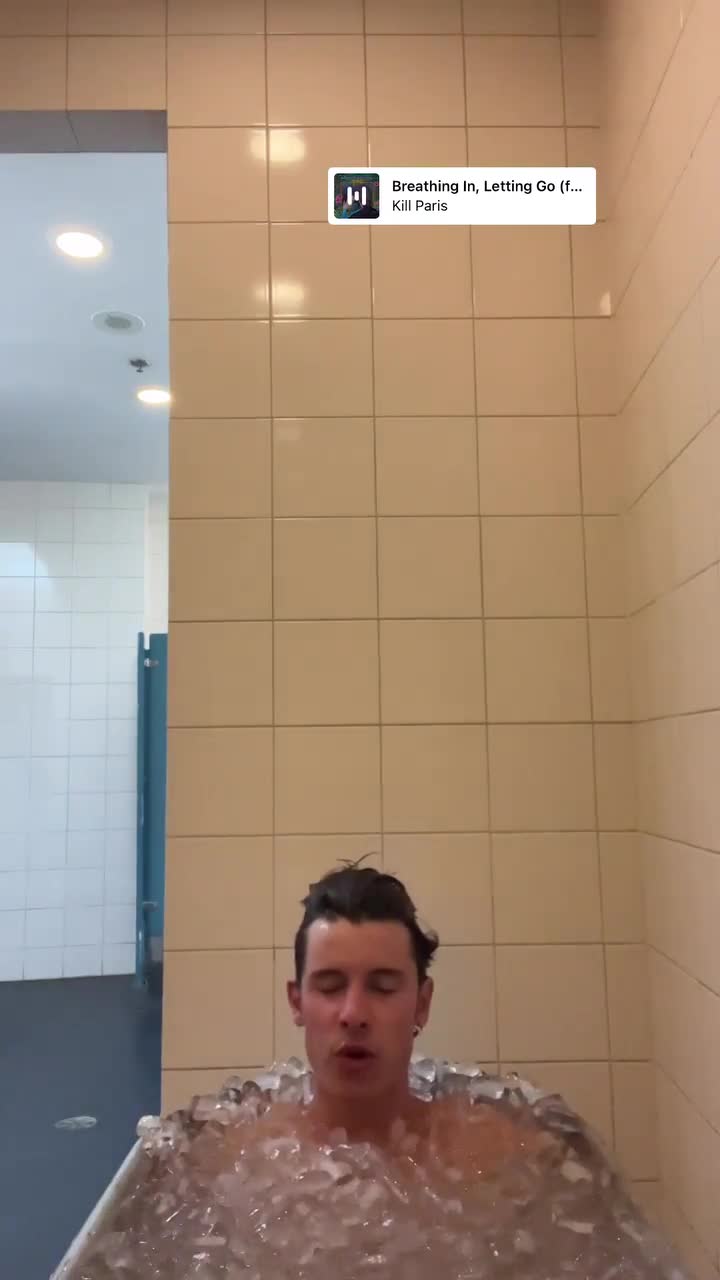 Shawn Mendes ice bath