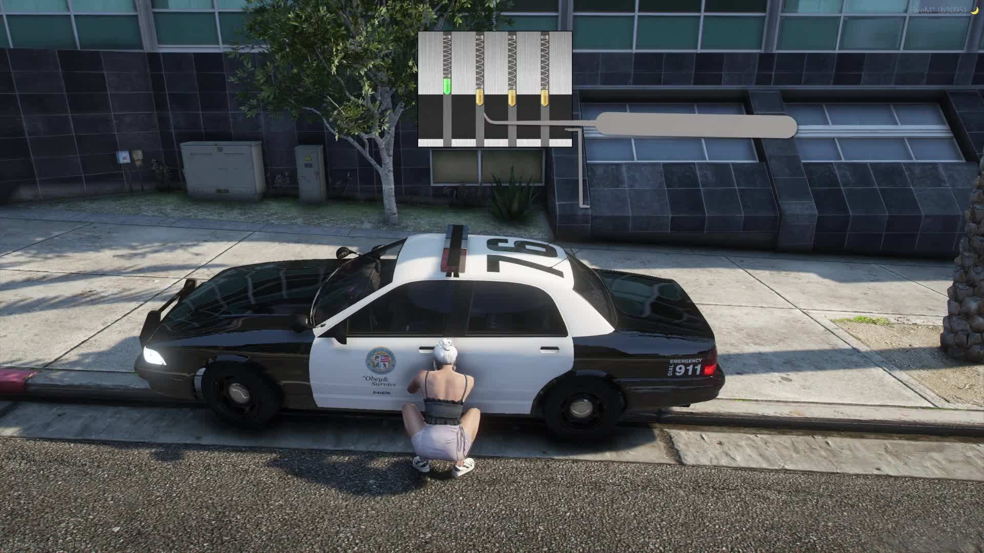 Watch cat_lockpick | Streamable