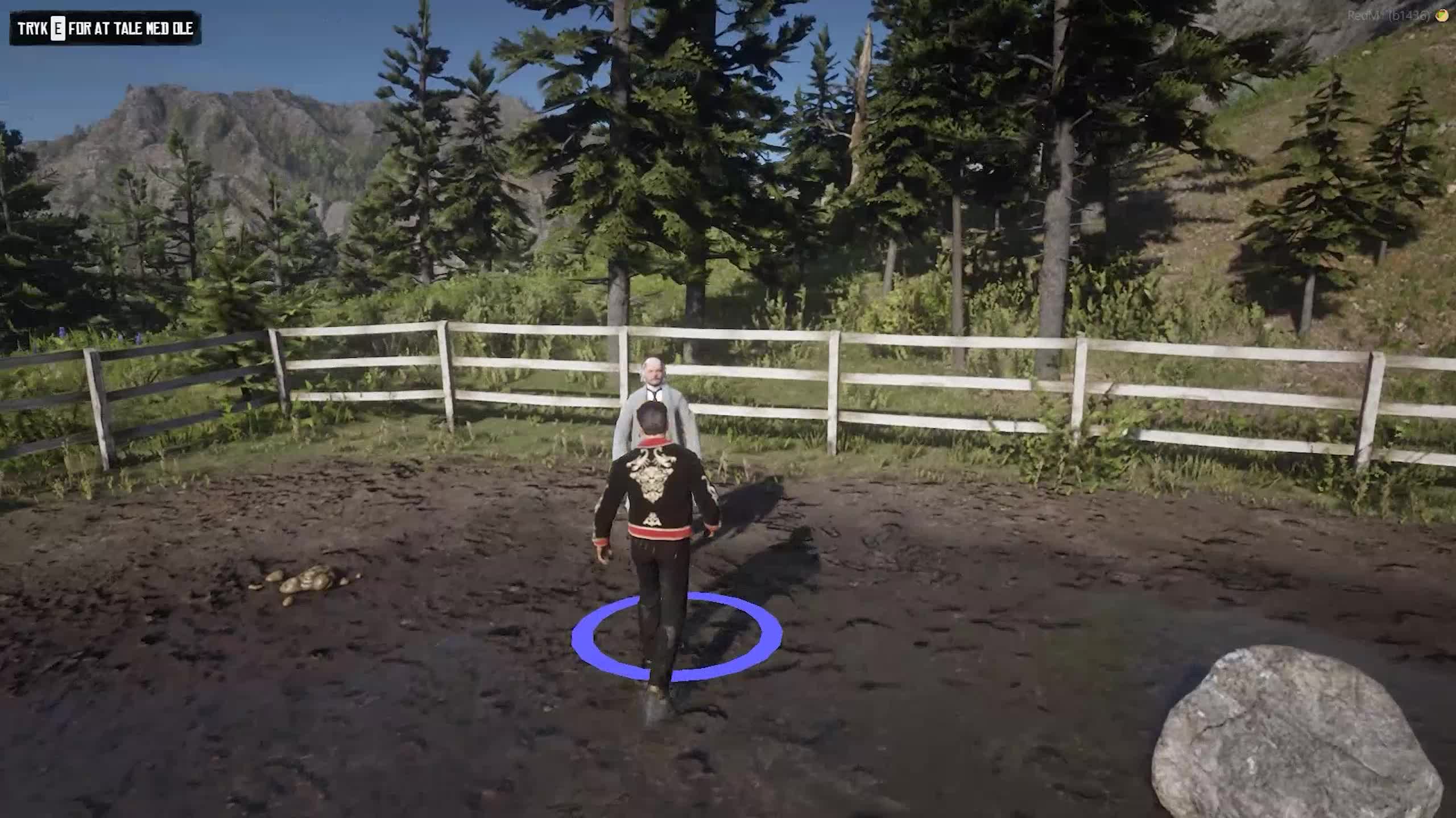 Neo RedM NPC/Dialog Showcase