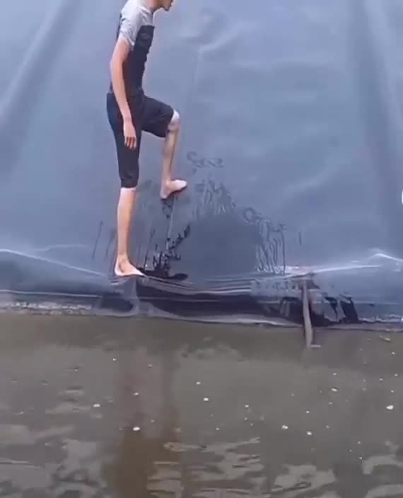 wonsz rzeczny jest niebezpieczny - Embed