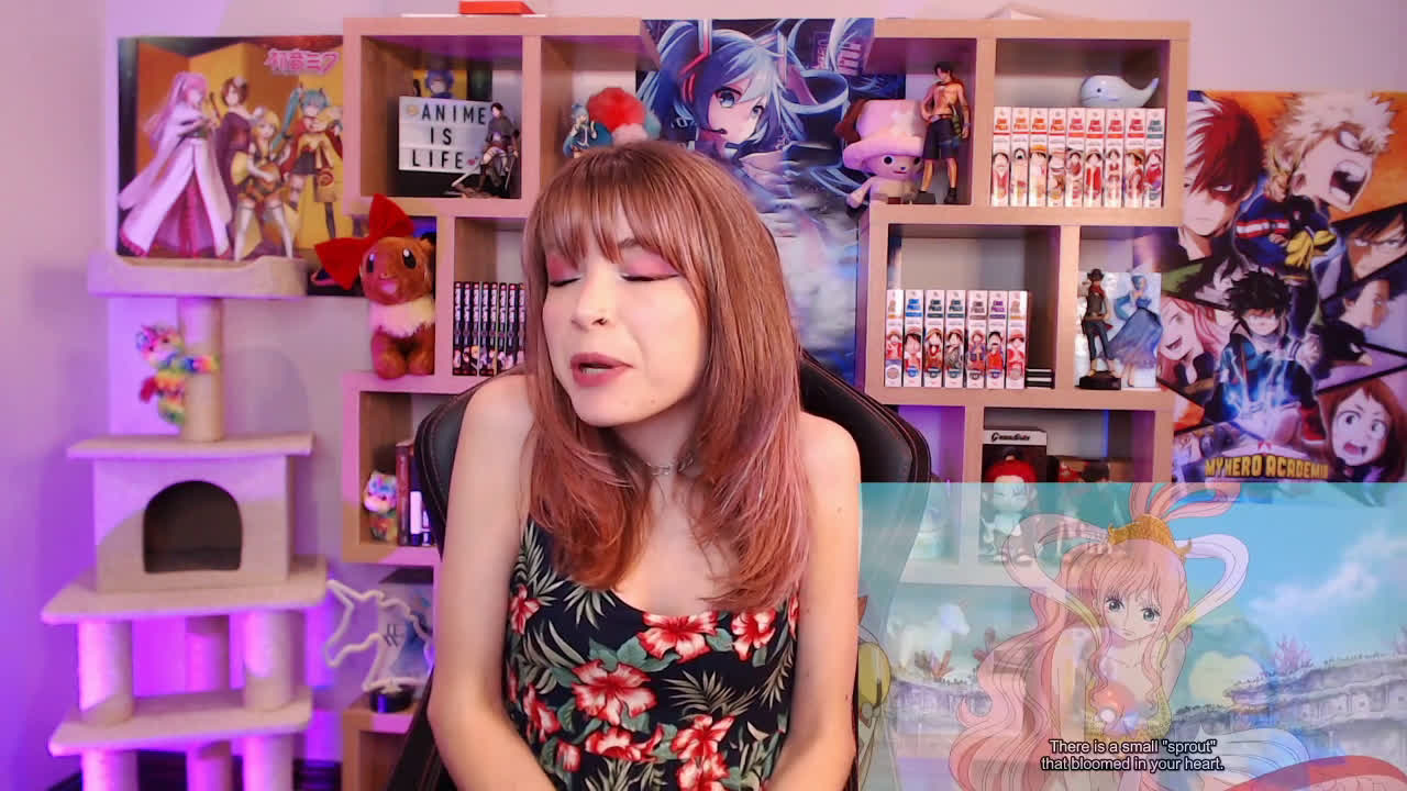 Watch OP 554 | Streamable