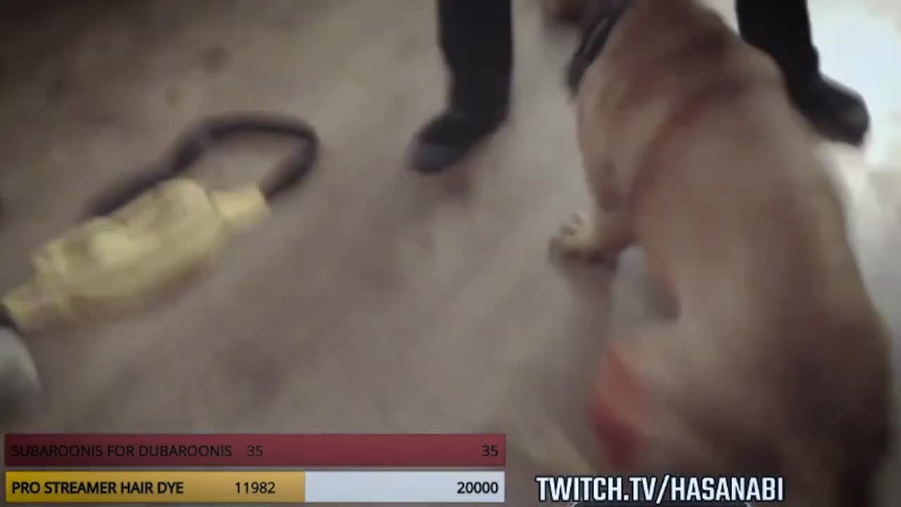 Watch raix68.mp4 | Streamable