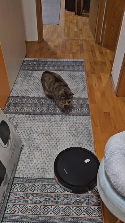 Watch usisivac_robot | Streamable