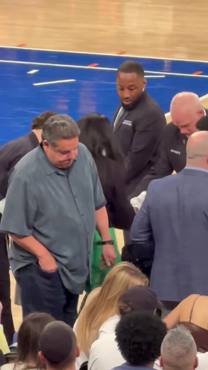 Watch tracy | Streamable