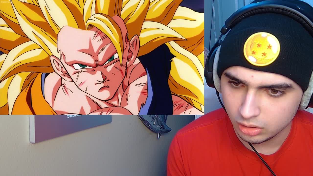DBZ WRATH OF THE DRAGON MOVIE