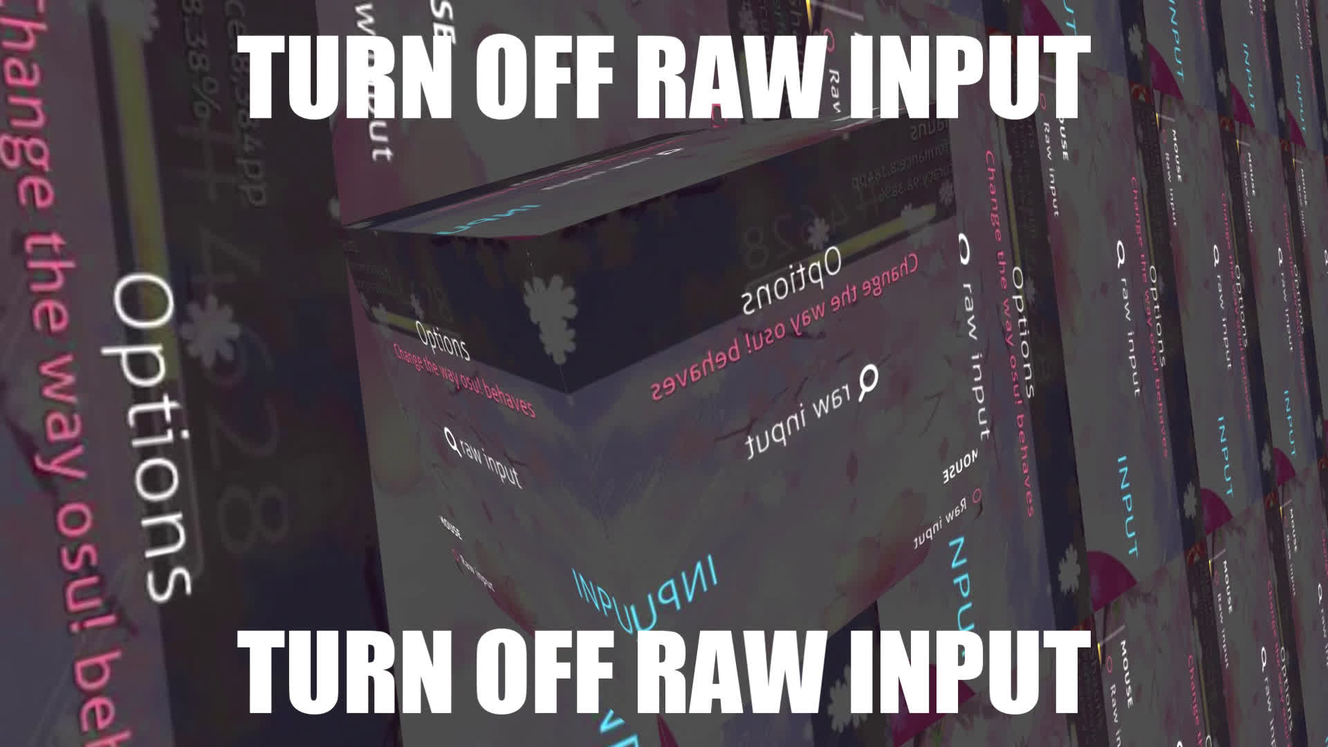 TURN OFF RAW INPUT