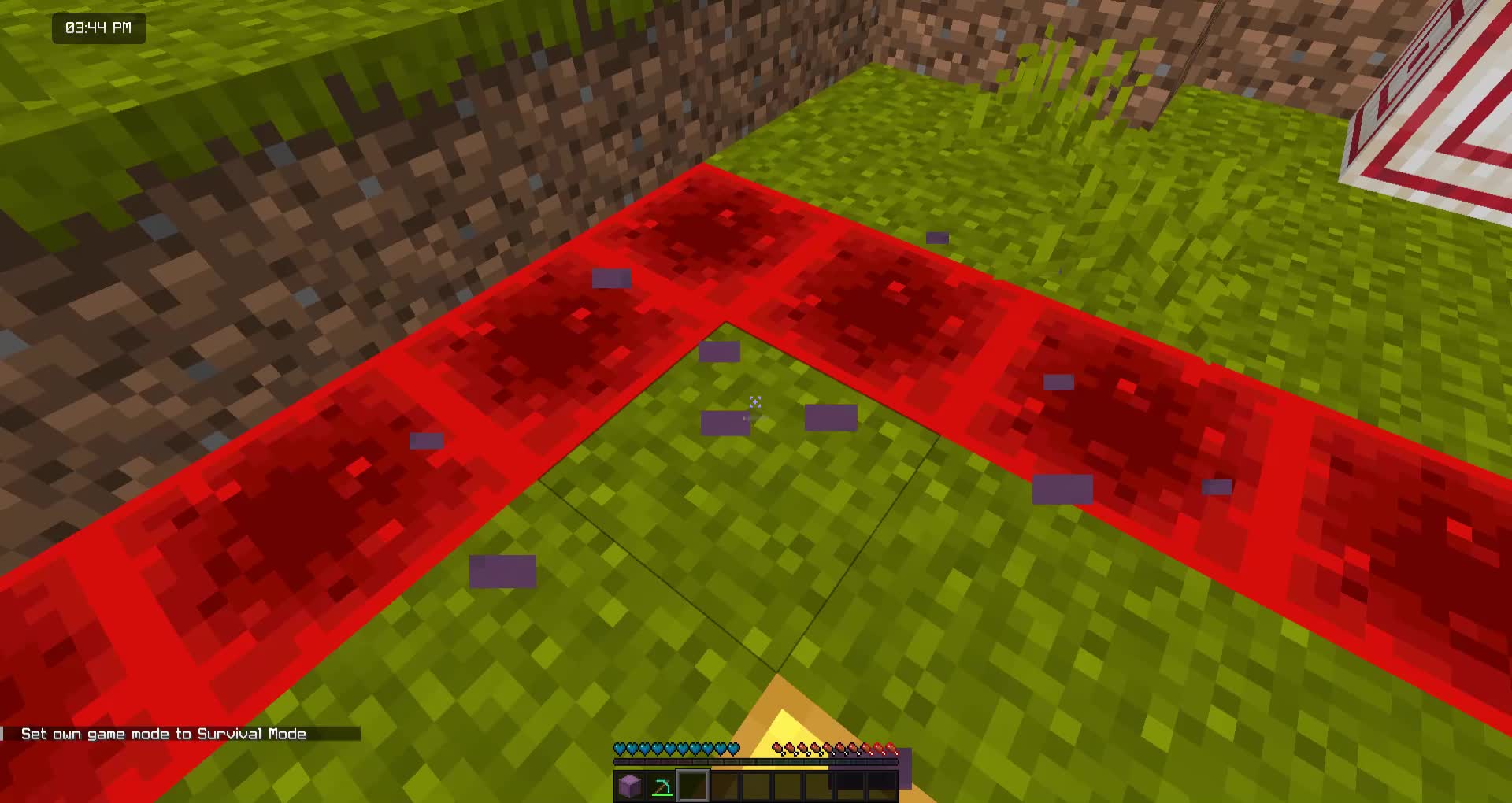 Shulker Room ShowCase