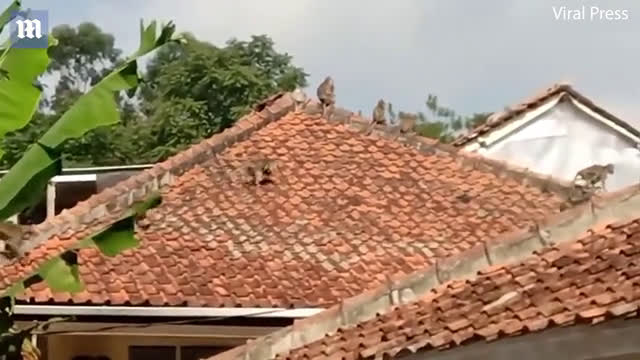 Watch 640x360_MP4_2442594213023035993 | Streamable