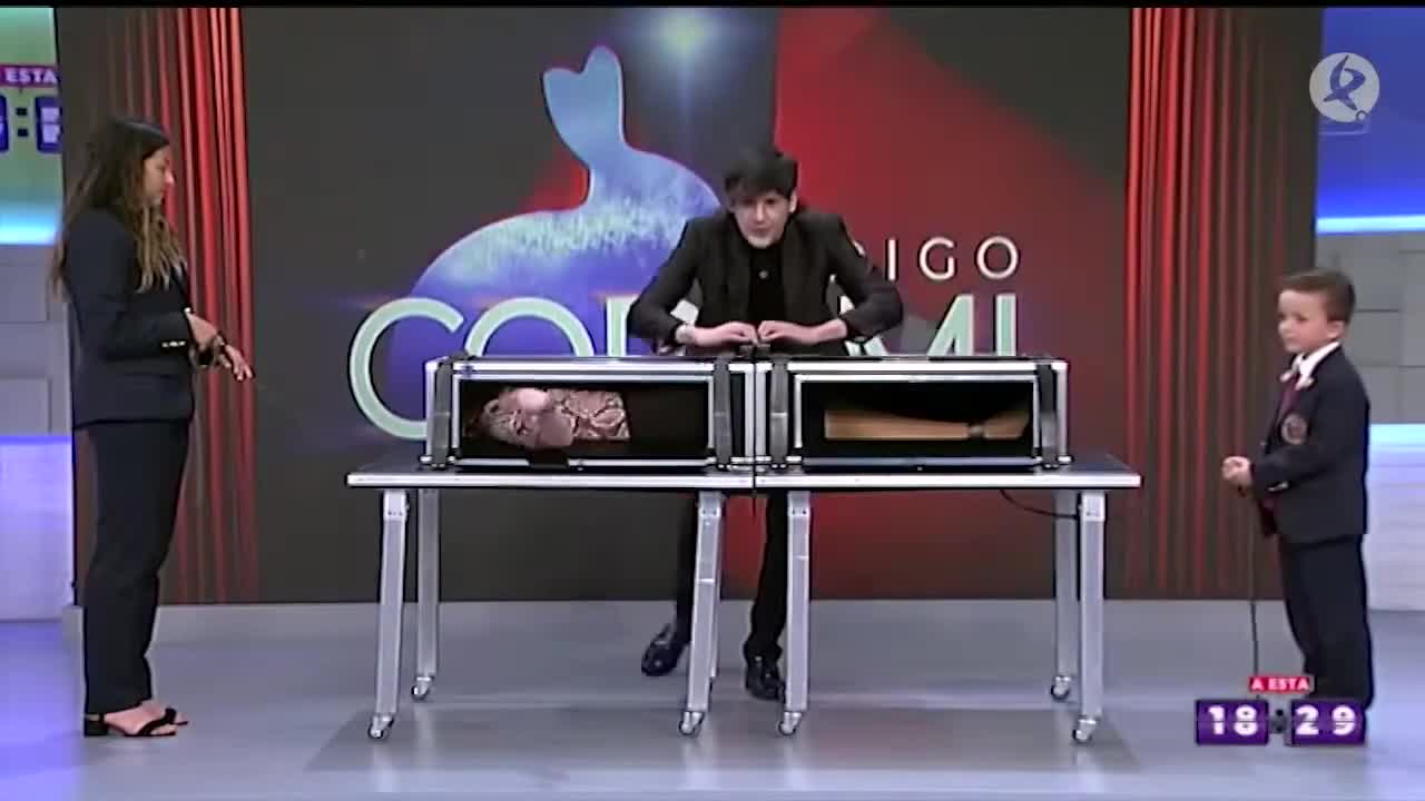 Wakeling Sawing in Half - Vanessa Pámpano sawn by Alfred Cobami