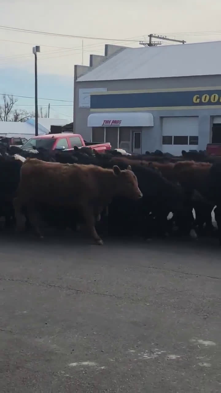 A normal day in Gruver, Texas.