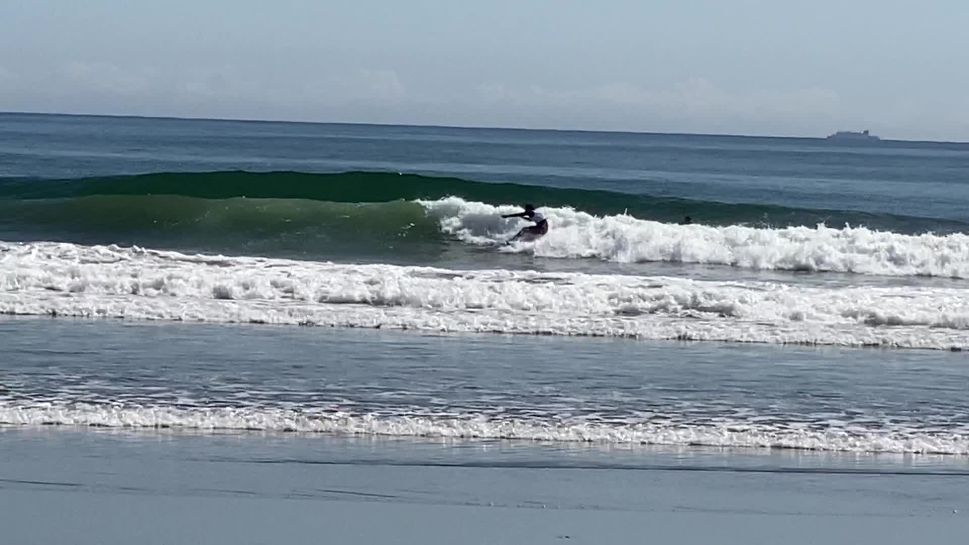 Watch IMG_3739 | Streamable