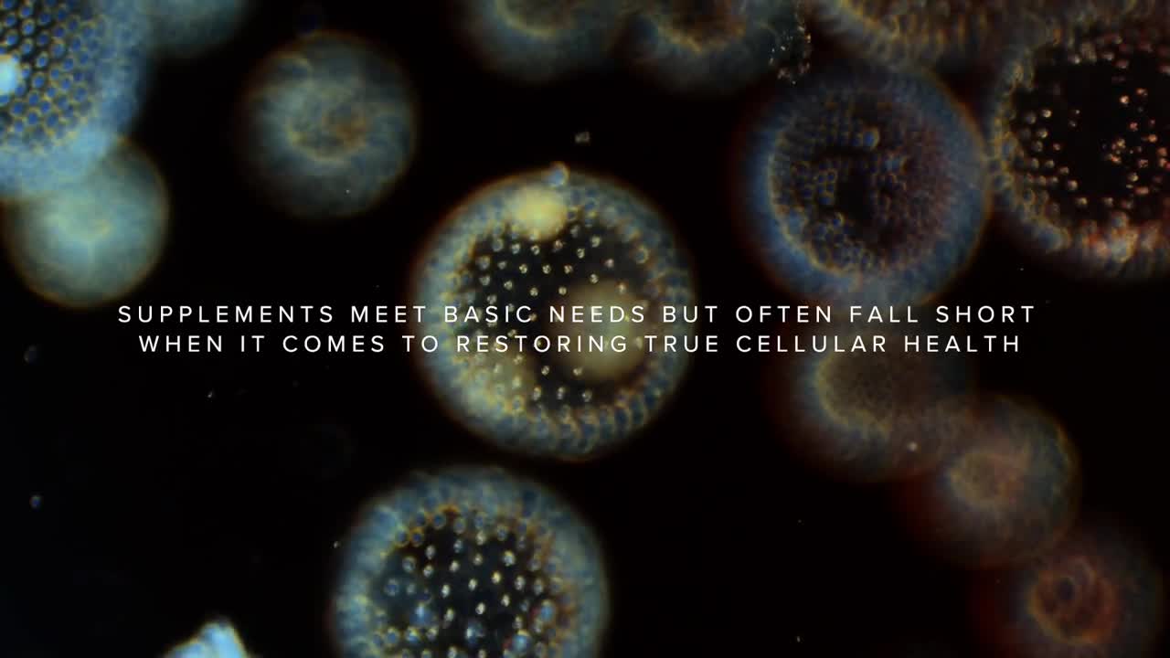 Watch Get Activated Today | Streamable