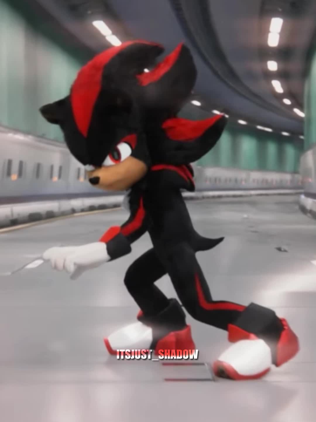 Shadow The Hedgehog