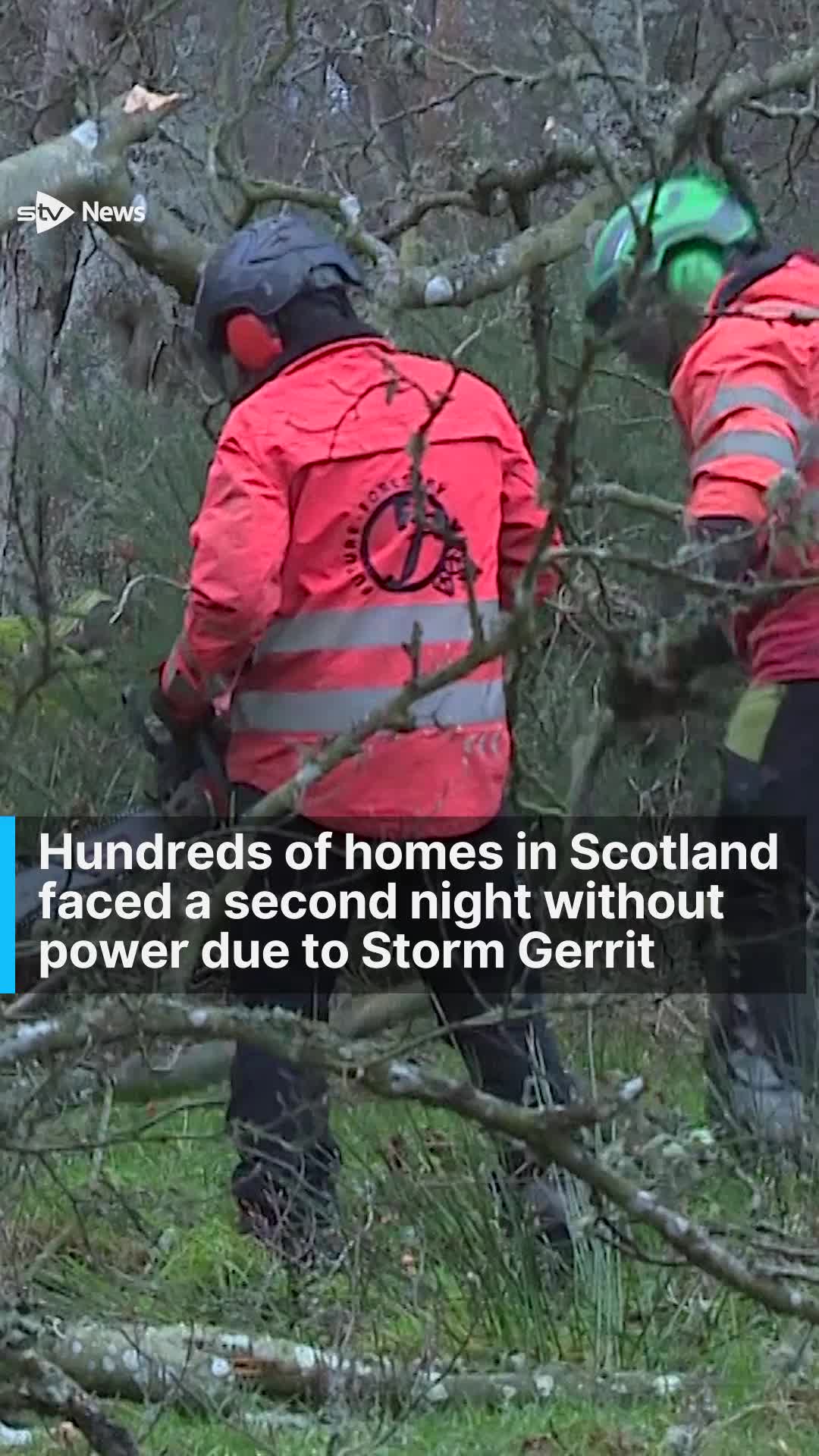 Watch NEWS-231229-GERRIT CLEAN UP-9x16 | Streamable