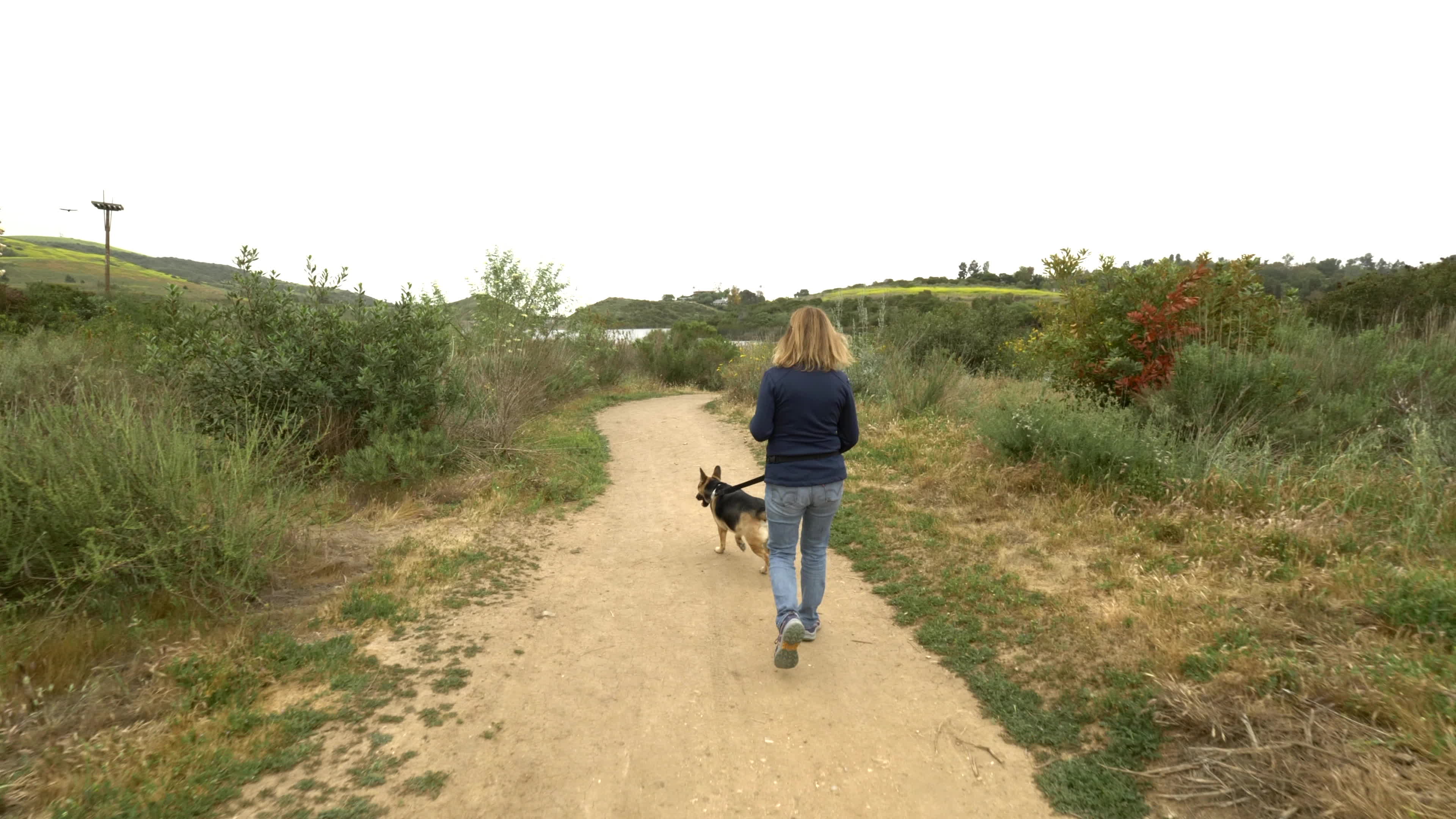 Watch OCP Trail Safety 2025 new logo | Streamable