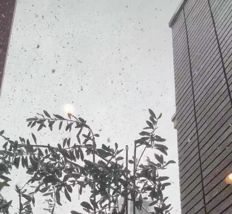 Watch モーニングメッセージ！ | Streamable