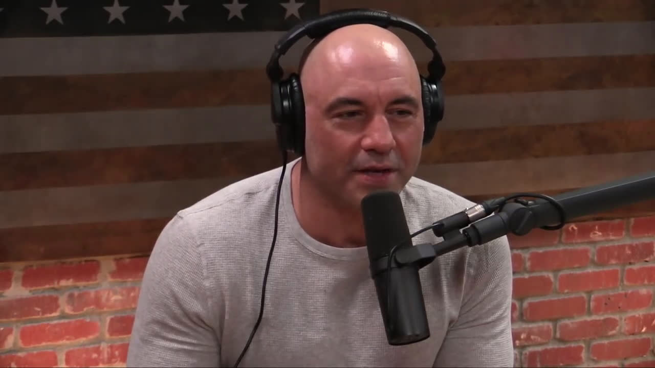 Joe Rogan Experience _1251 - Tim Dillon 35m50s - 36m10s (WNlqsuTJu2Q)