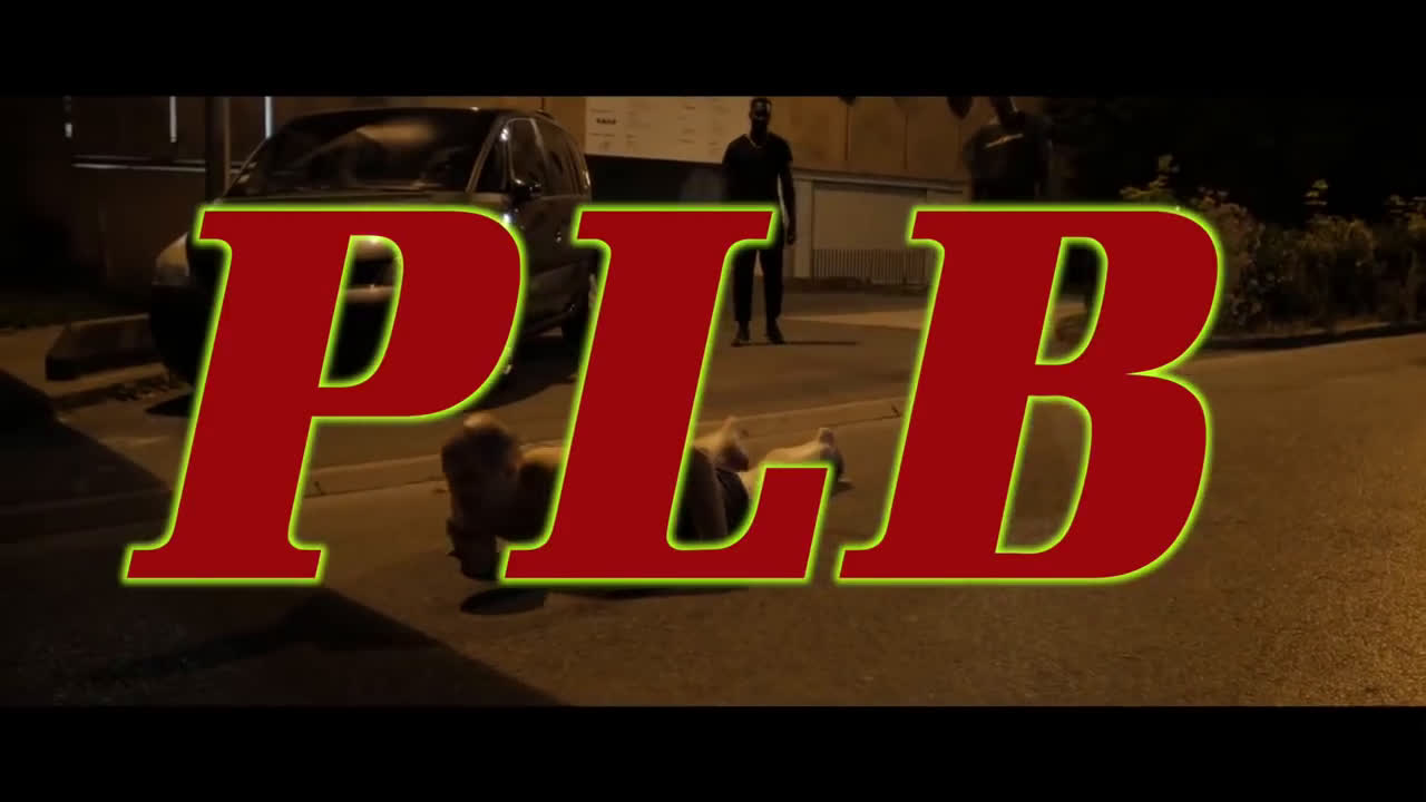 Watch Nick Conrad - PLB - appel au meurtre des blancs | Streamable