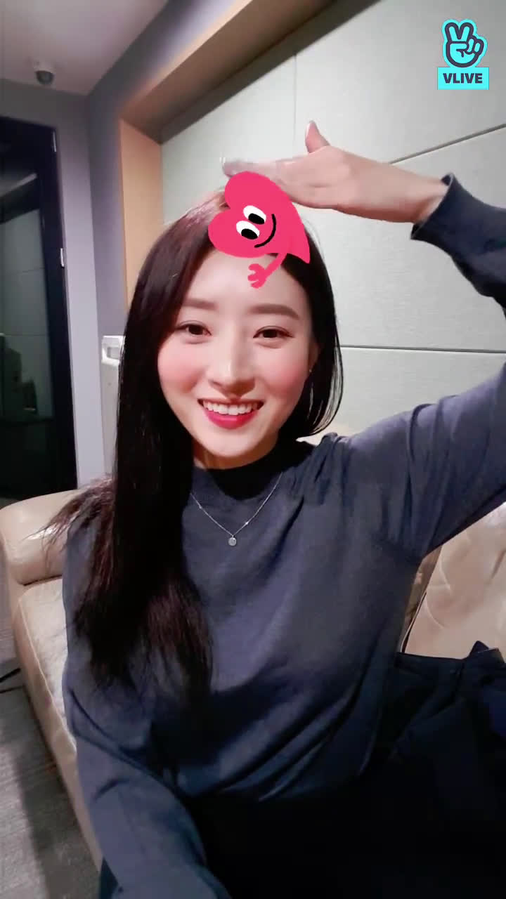 SA Heart 1 (200115 VL)