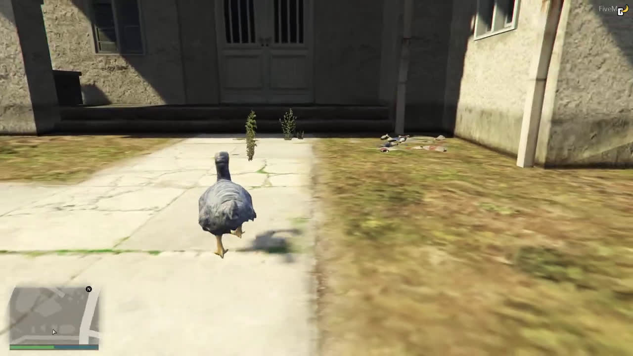 Dodo Bird Mod