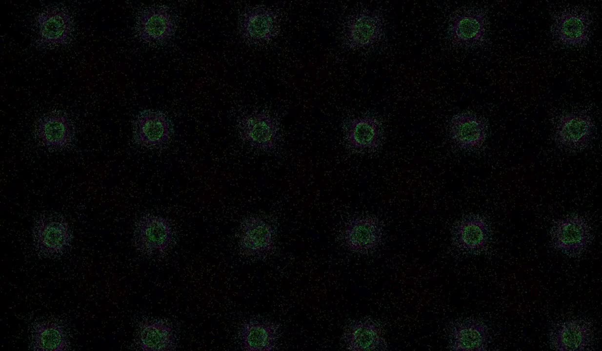 Watch 3D Particle Life. WebGPU. 1 million particles. | Streamable