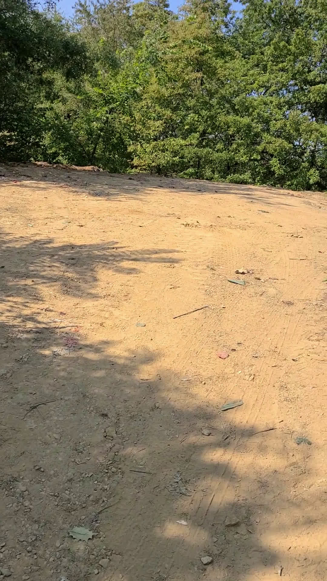 Butlet cemetery all cleaned up