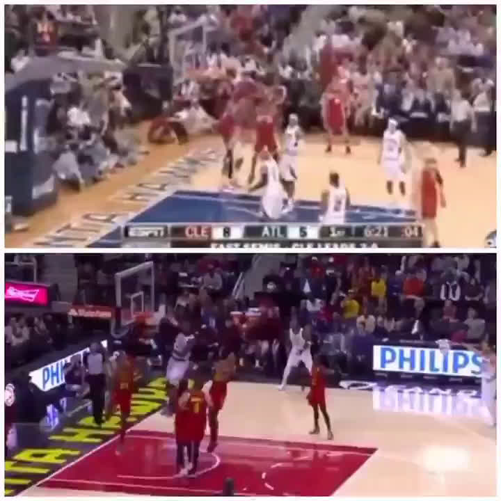 Different Animal, Same Beast