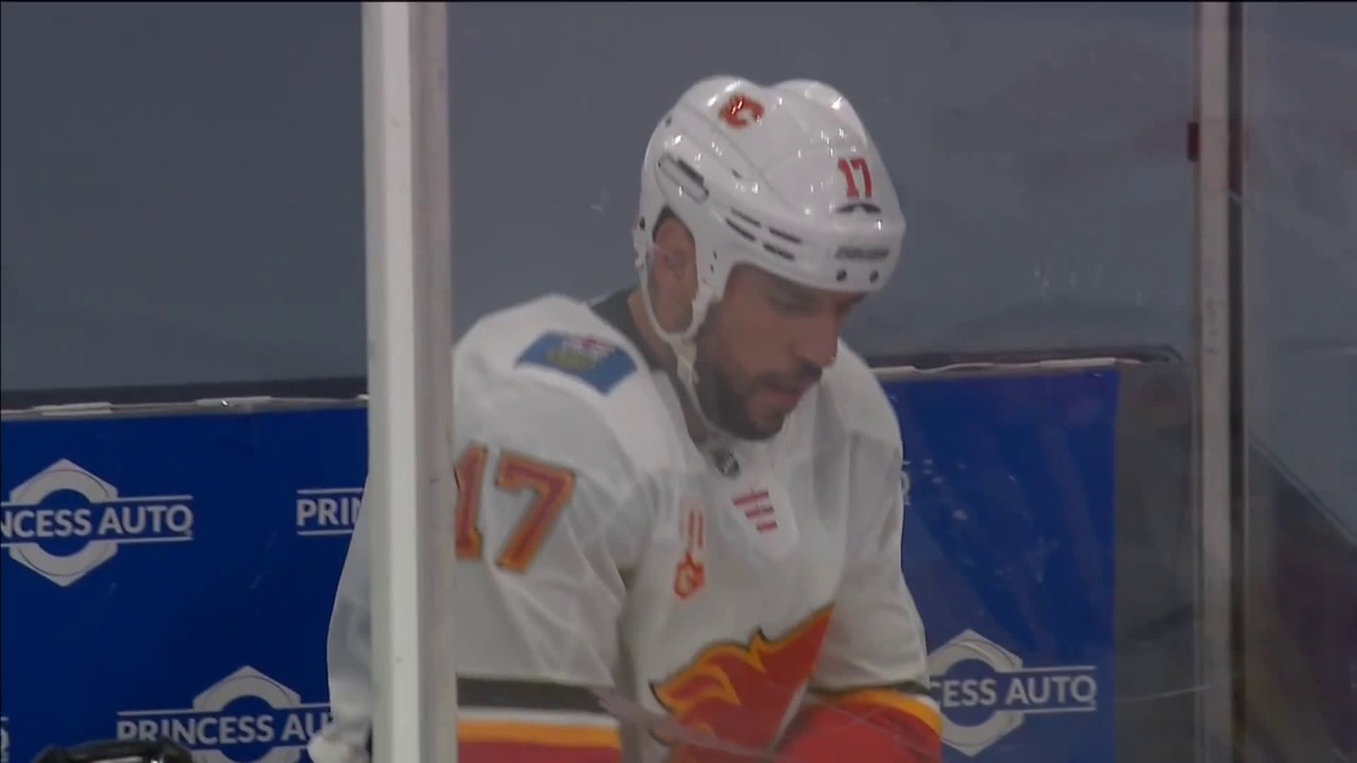 Lucic Fight