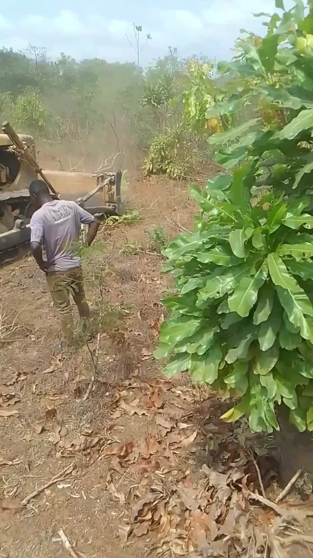 Watch 2 | Streamable