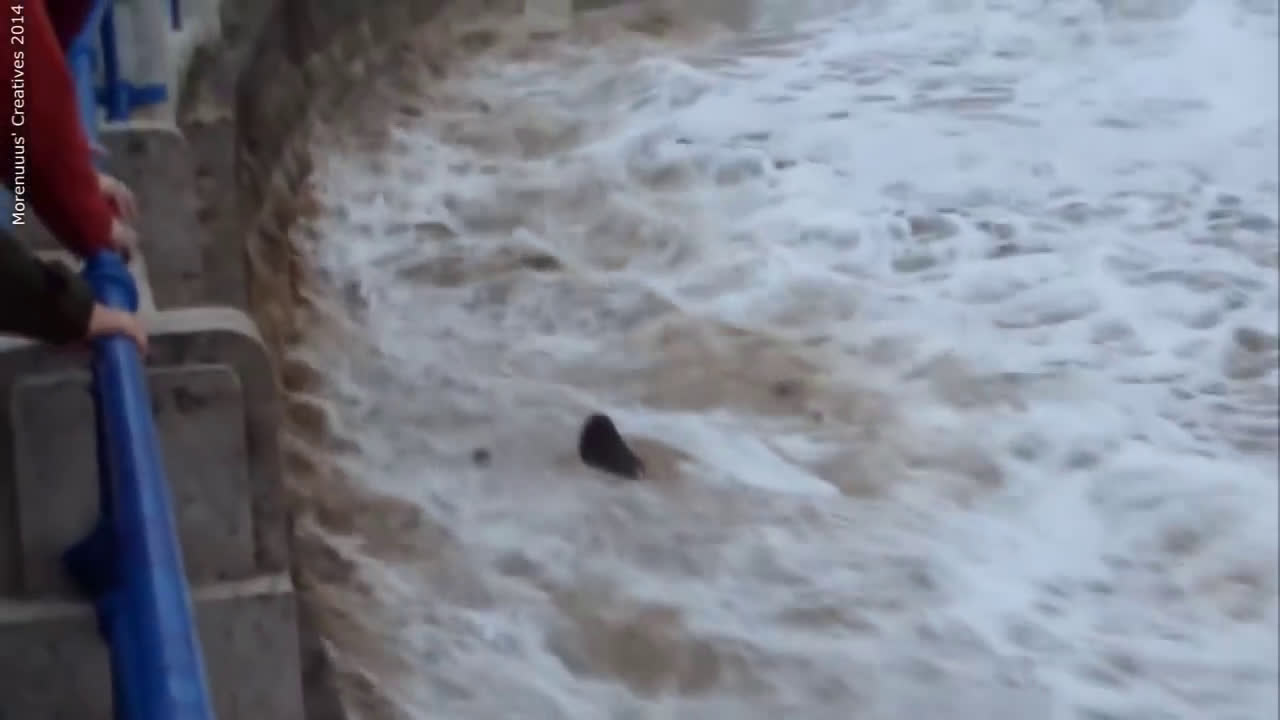 Let me make fun of that stupid wave...