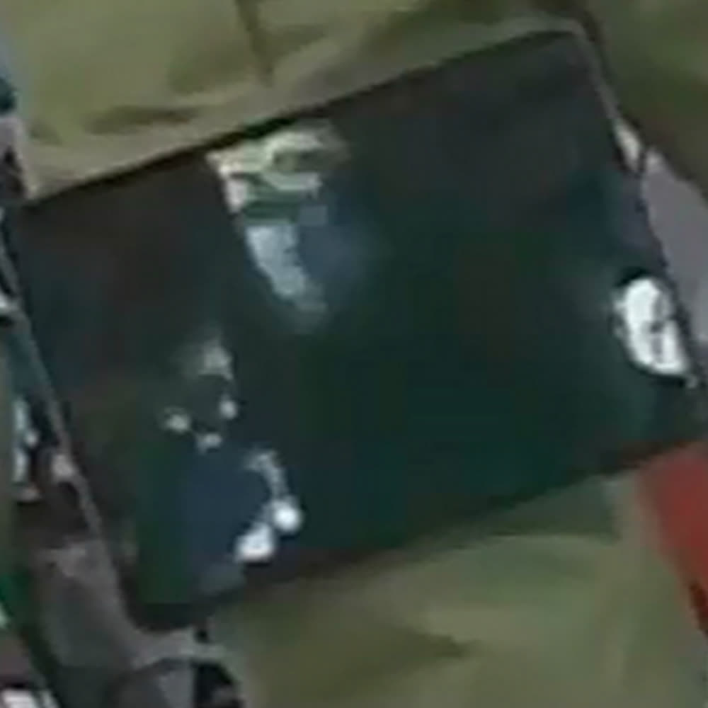 wtf tomate pasteque et les chad aliens