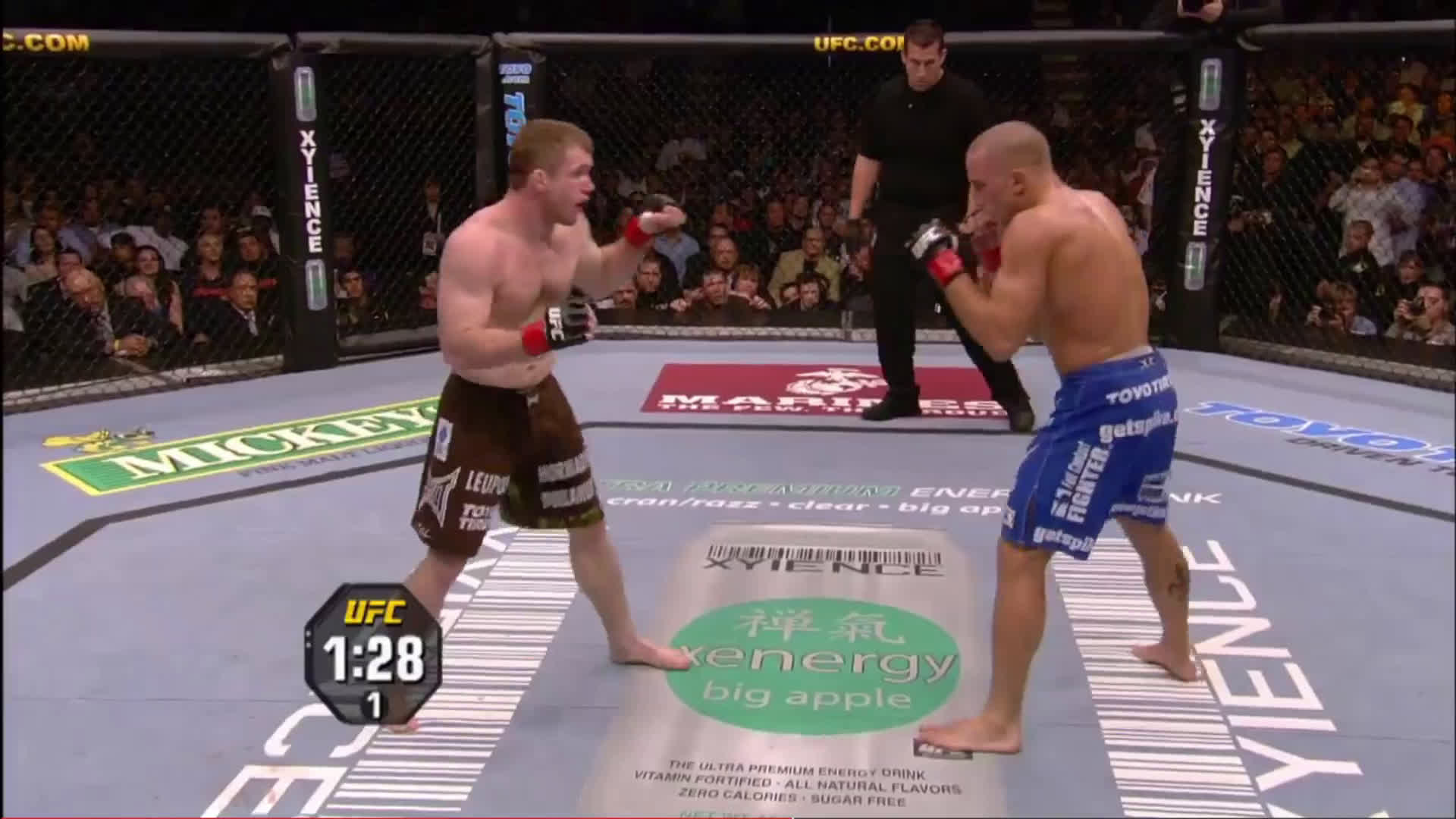 Georges St. Pierre vs. Matt Hughes 2