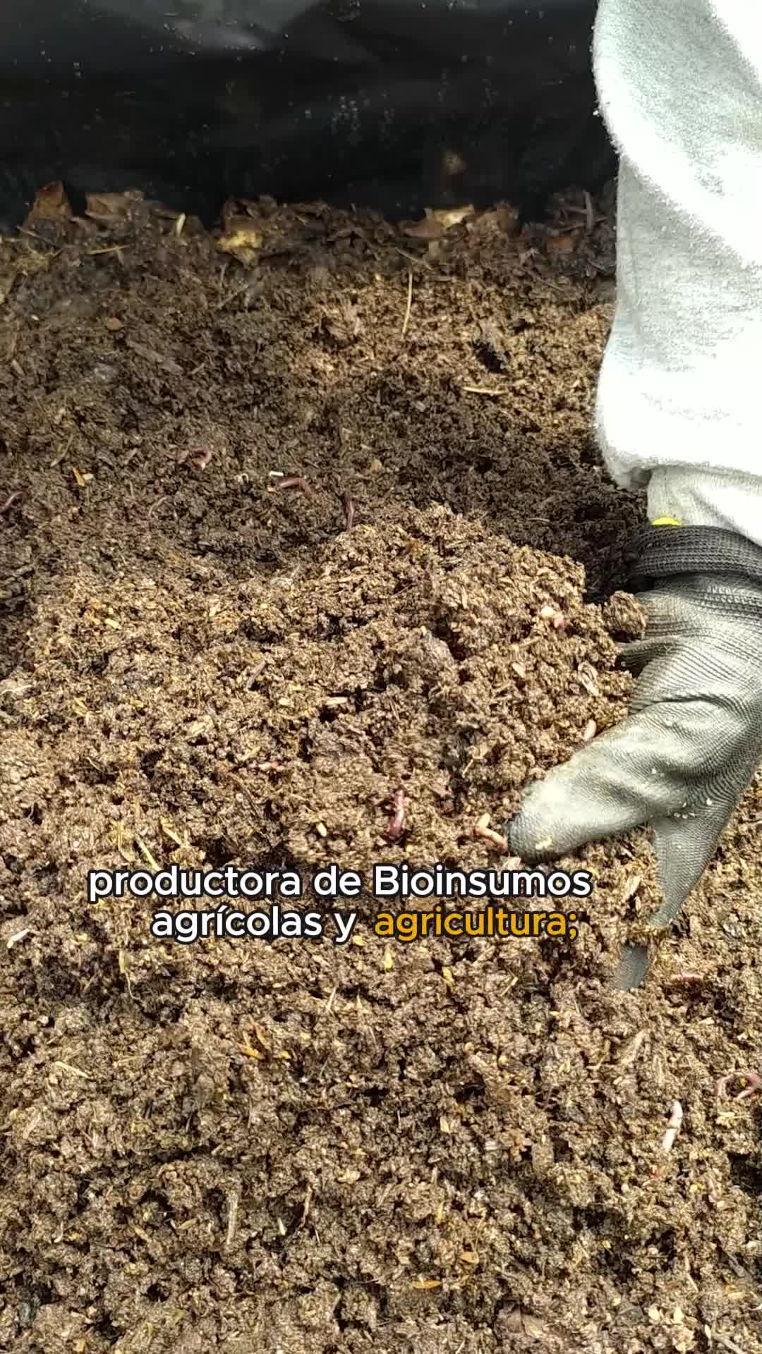 Watch CAPTACIÓN LANZAMIENTO3 REELS | Streamable