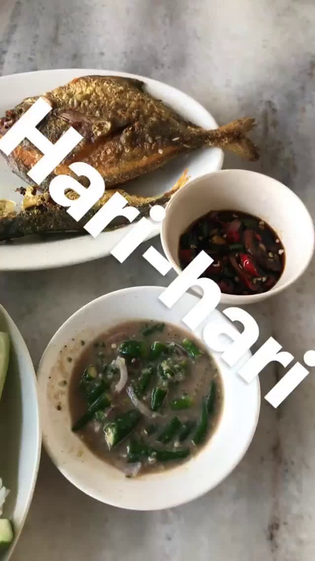 Watch 1754896738596230979_505226736 | Streamable