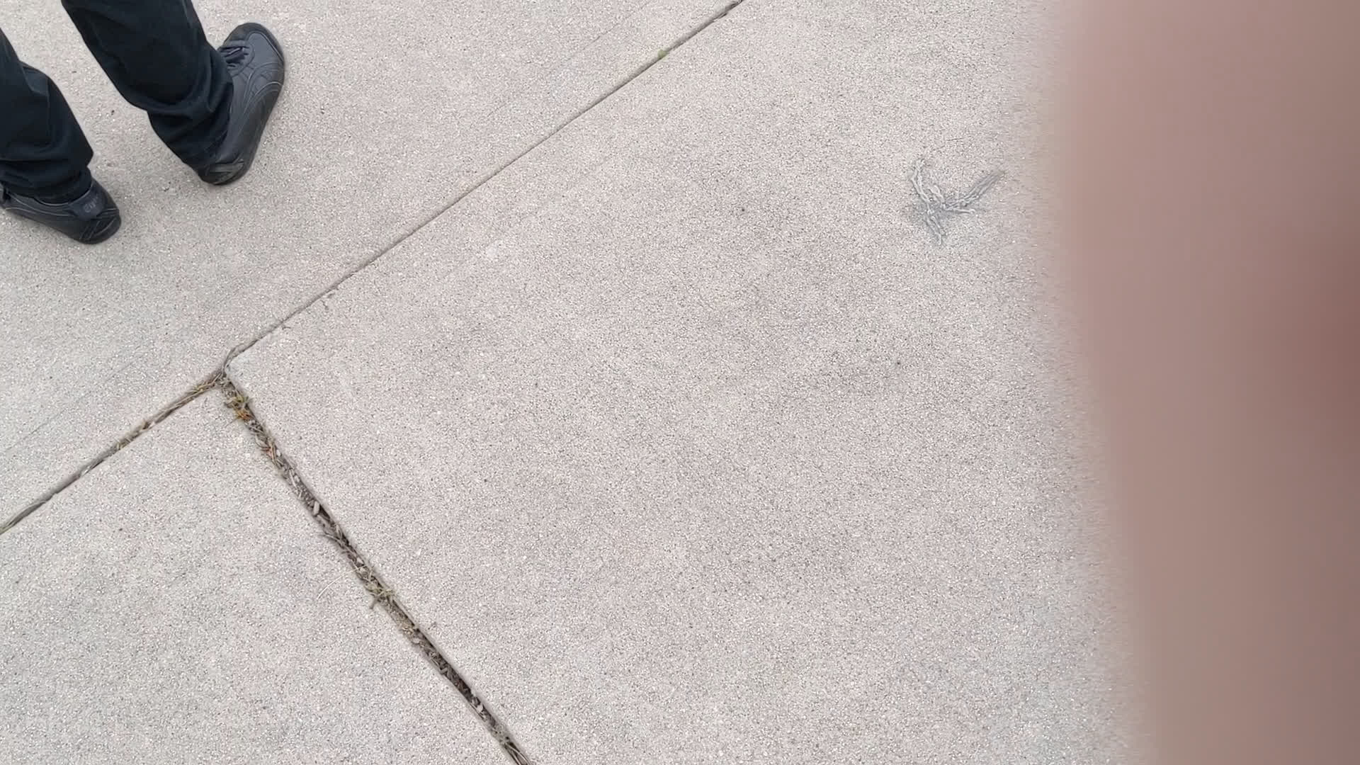 USAF Thunderbirds flyover Denver