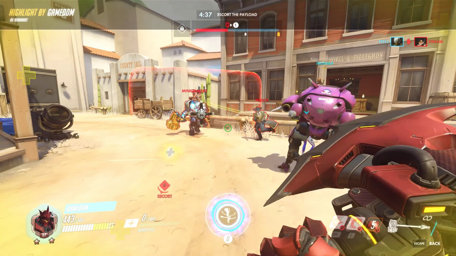 broken rein