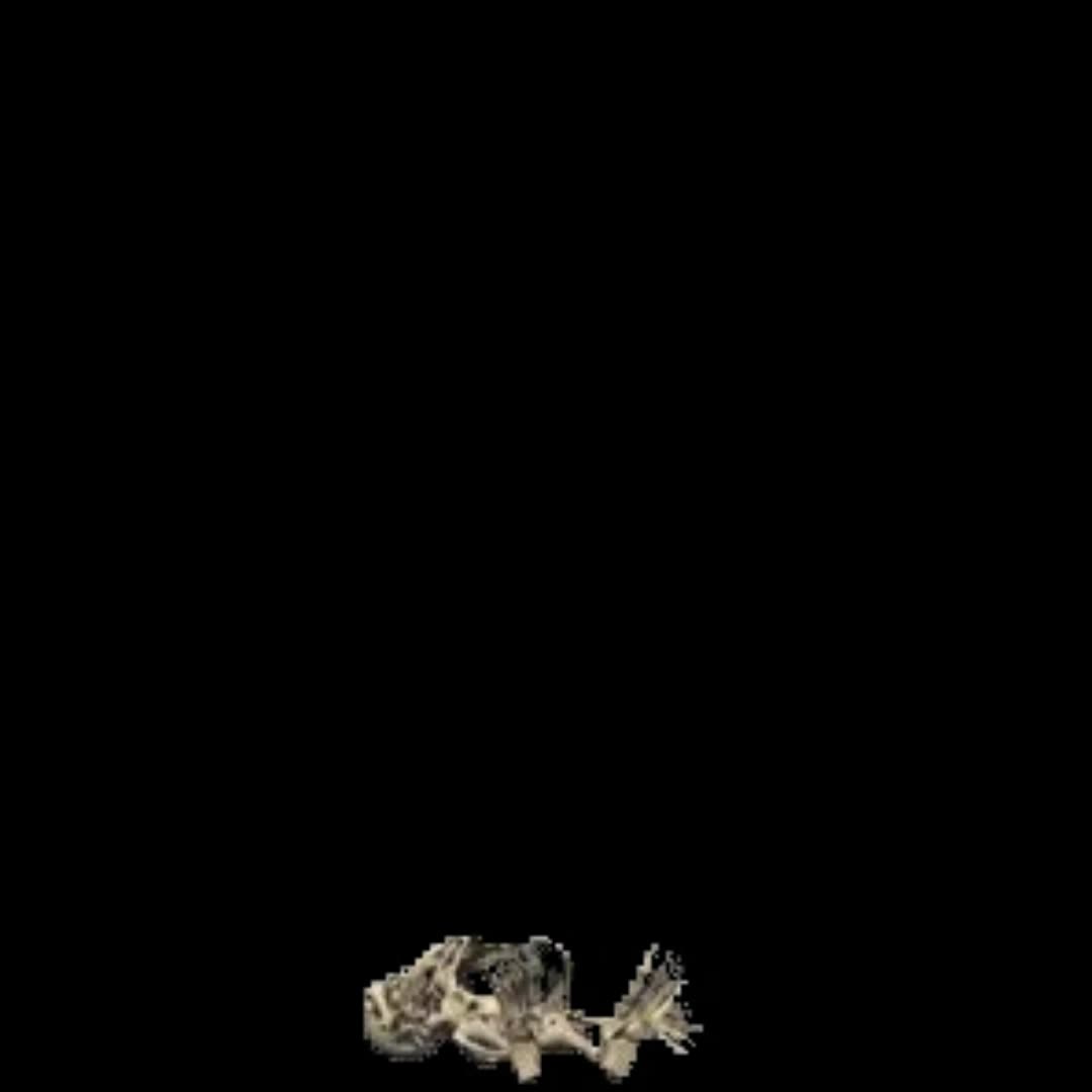 Watch skeleton | Streamable