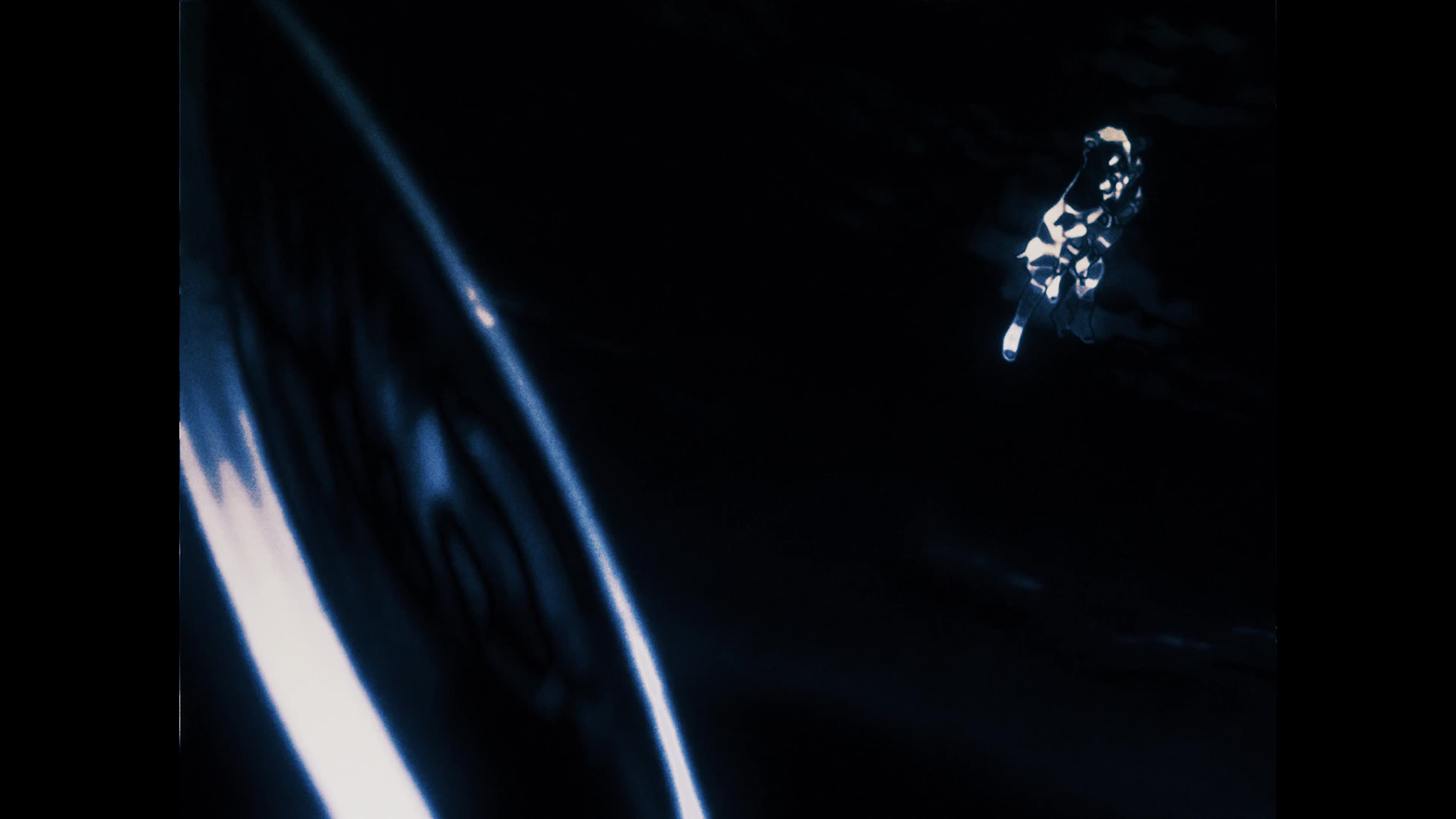 crazy.visuals - Payhip