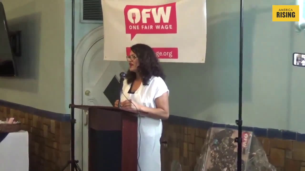 Rashida Talib goes full retard in asking for $20 minimum wage