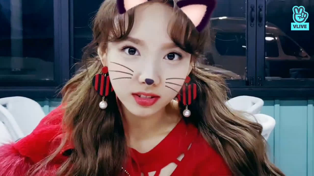 Nayeon Cat