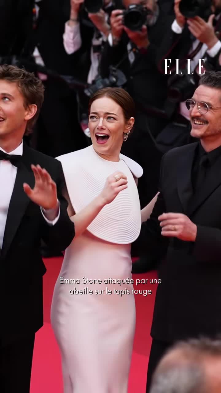 Watch Une abeille a semé le trouble alors que le casting du film « Eddingto... | Streamable