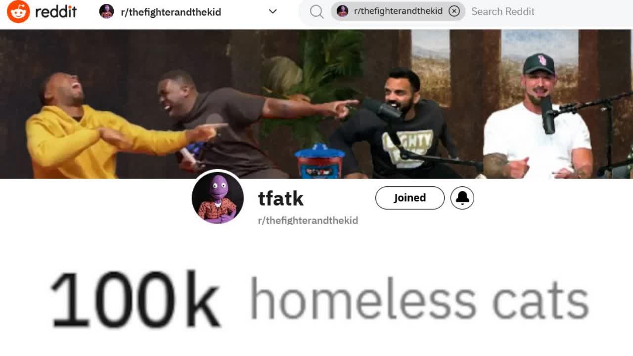 100k - TFATK - So many homeless cats