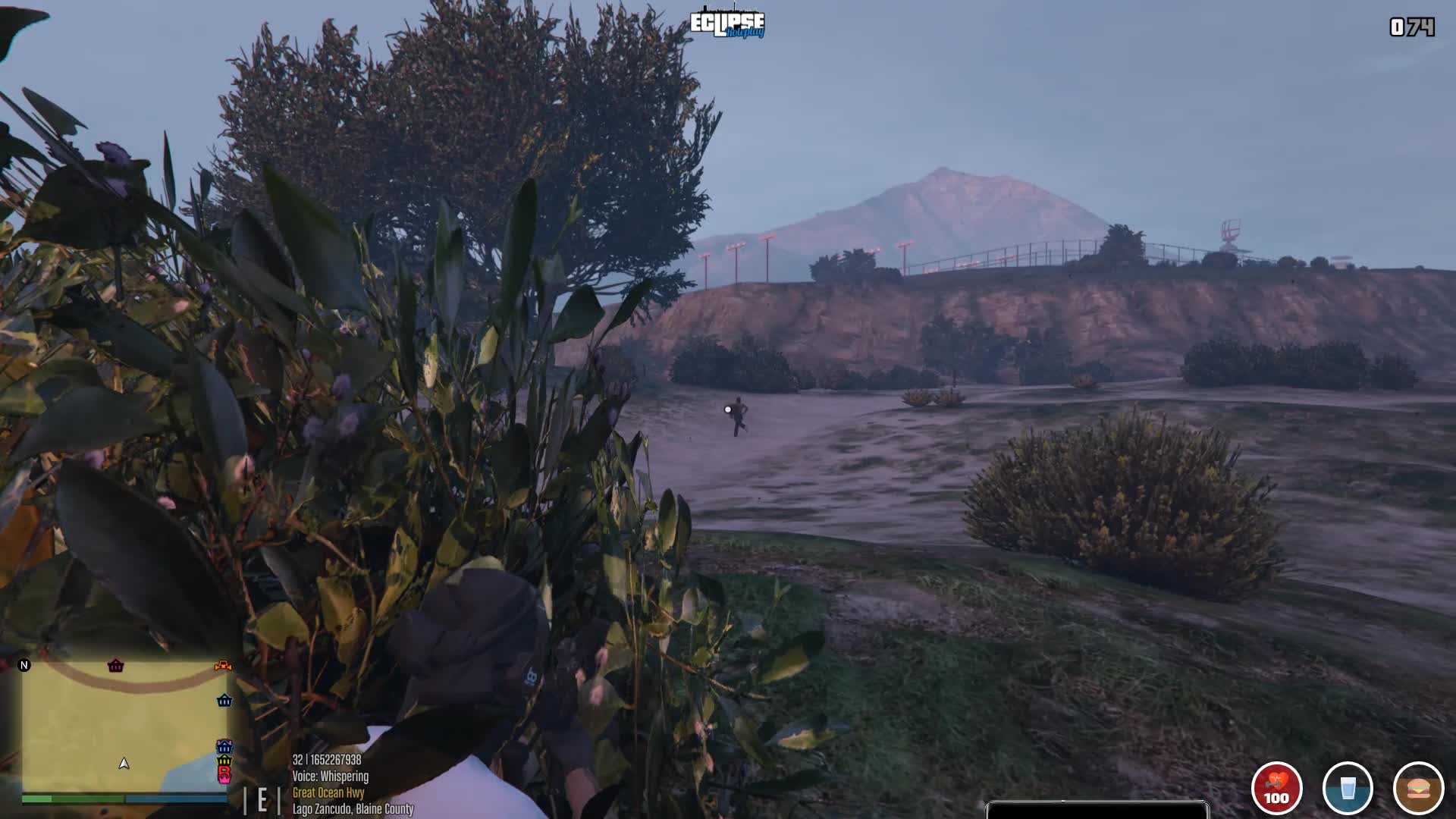 Watch REPORT | Streamable