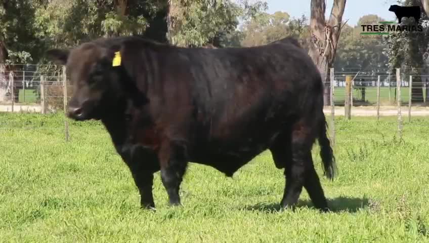 Watch b23dfa86-e04e-46a9-b3c8-f26d70a6db4e | Streamable