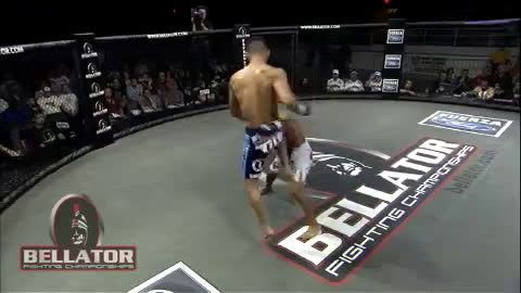 Jorge Masvidal Choked Unconscious by Toby Imada at Bellator 5