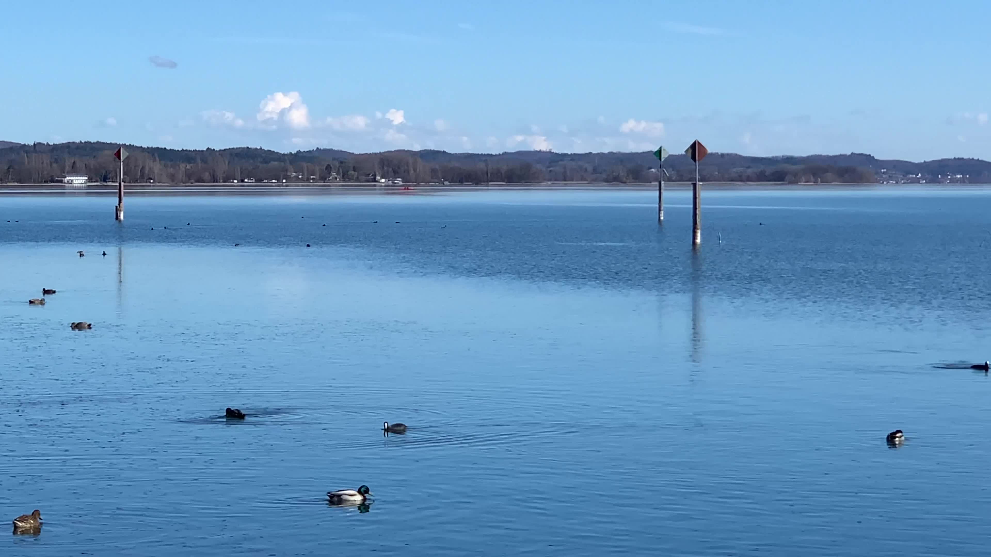 Watch 25.2.24 Radolfzell Schneeberge | Streamable