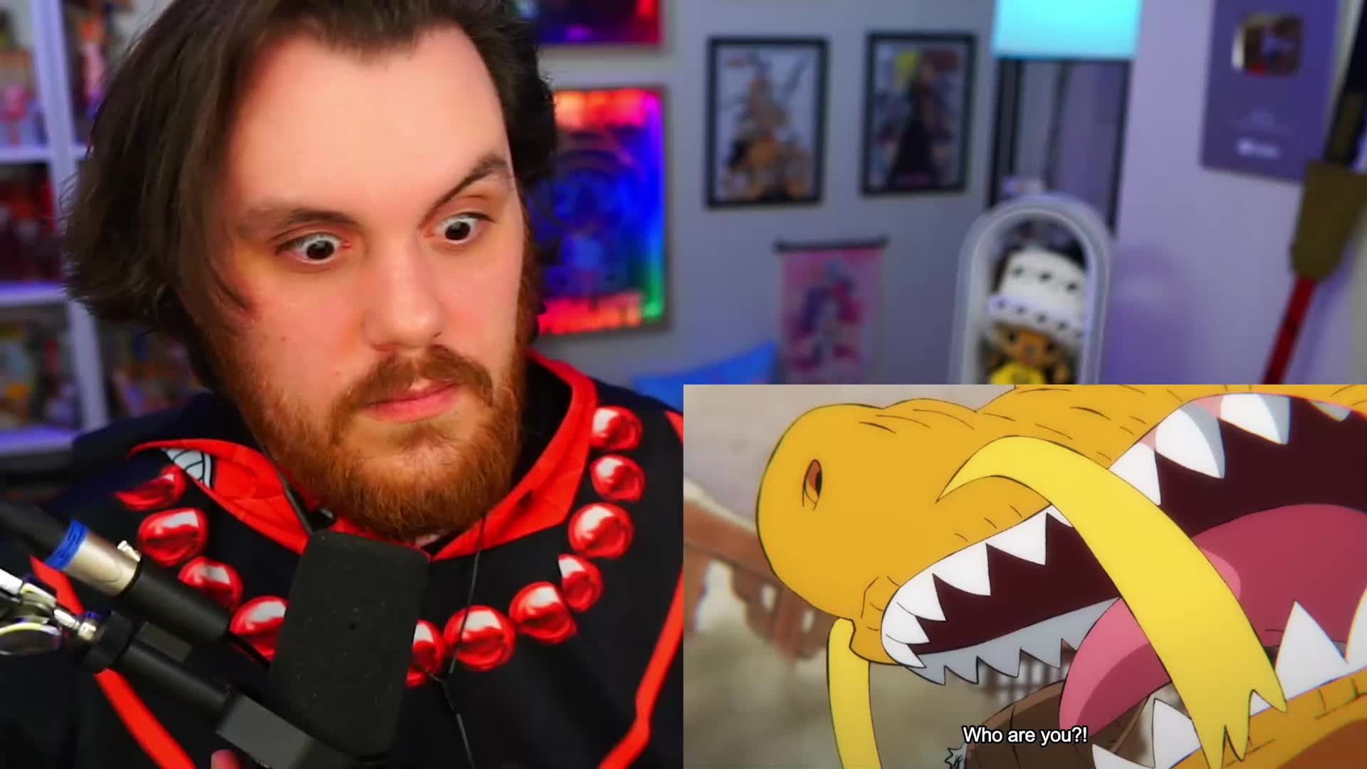 Watch One Piece 1037-1039 Patreon | Streamable