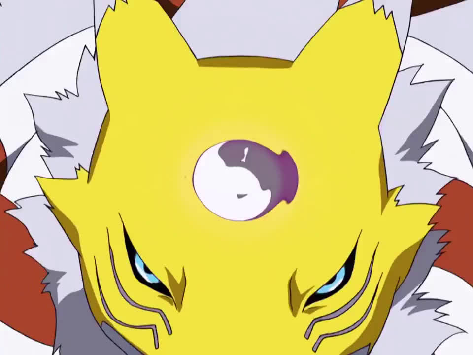 Digimon Tamers All Digivolutions (Blu-ray Quality)